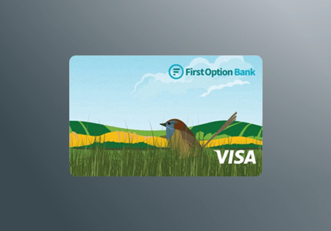 Low Rate First Option Visa Card | APPS poupança